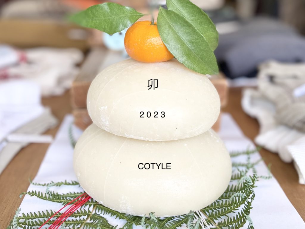 Cotyle Blog | BLOG